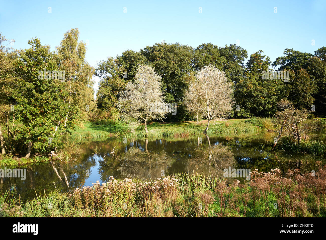 British landscape views of trees and lakes Stock Photo - Alamy