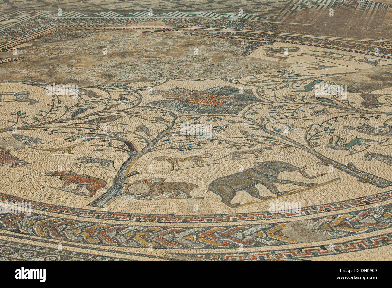 Fragment of Roman mosaic of wild animals in the House of Orpheus 300 AD ...