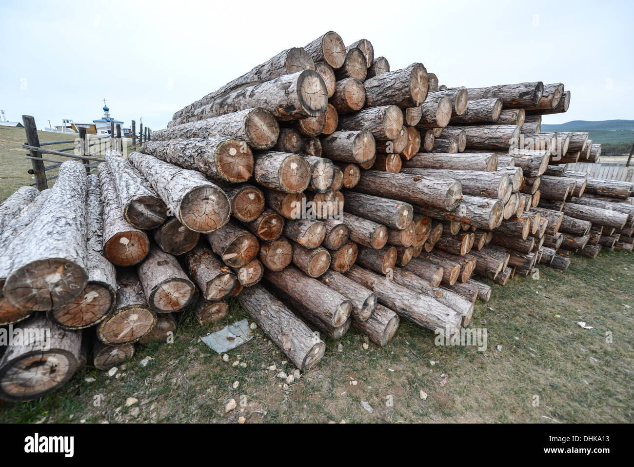 Cut Wooden Logs. Chopped Siberian Logs from Olkhon Island in Lake ...