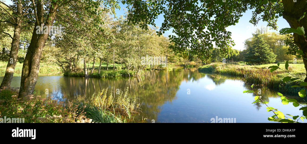British landscape views of trees and lakes Stock Photo - Alamy