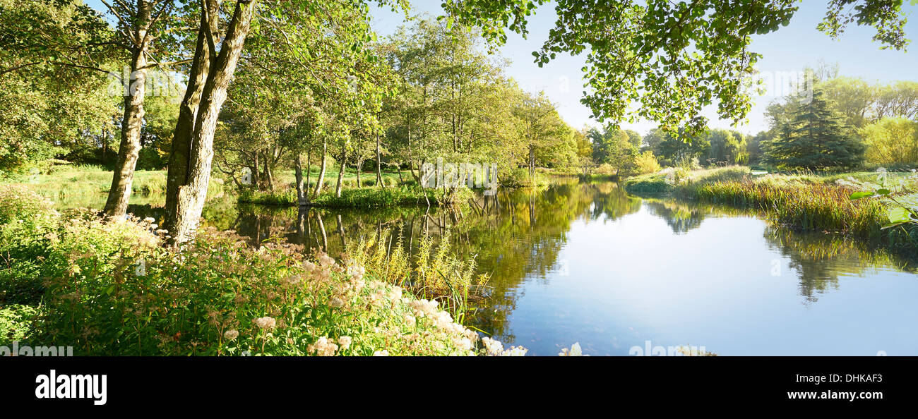 British landscape views of trees and lakes Stock Photo - Alamy