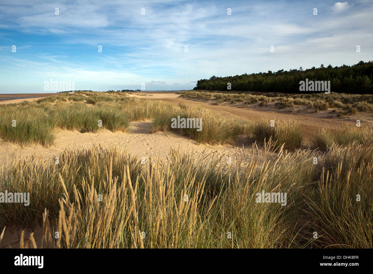 Sand Dunes of Holkham Beach, Norfolk. UK Stock Photo - Alamy