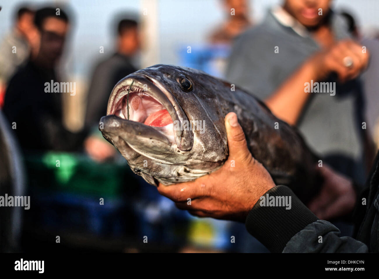 Gaza, Palestinian Territories, . 12th Nov, 2013. A Palestinian fish ...