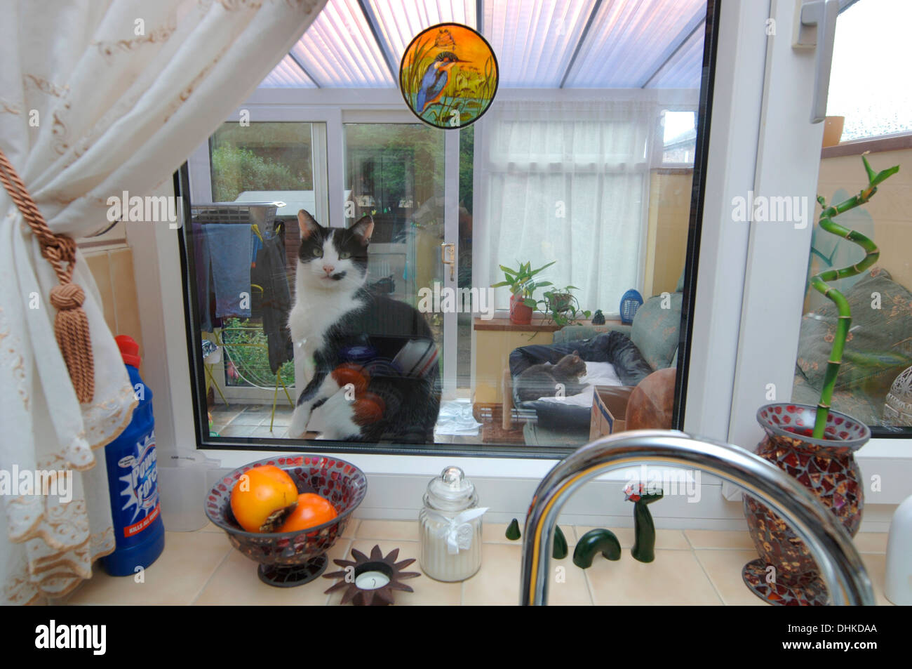 View Through A Kitchen Window Stock Photo - Alamy