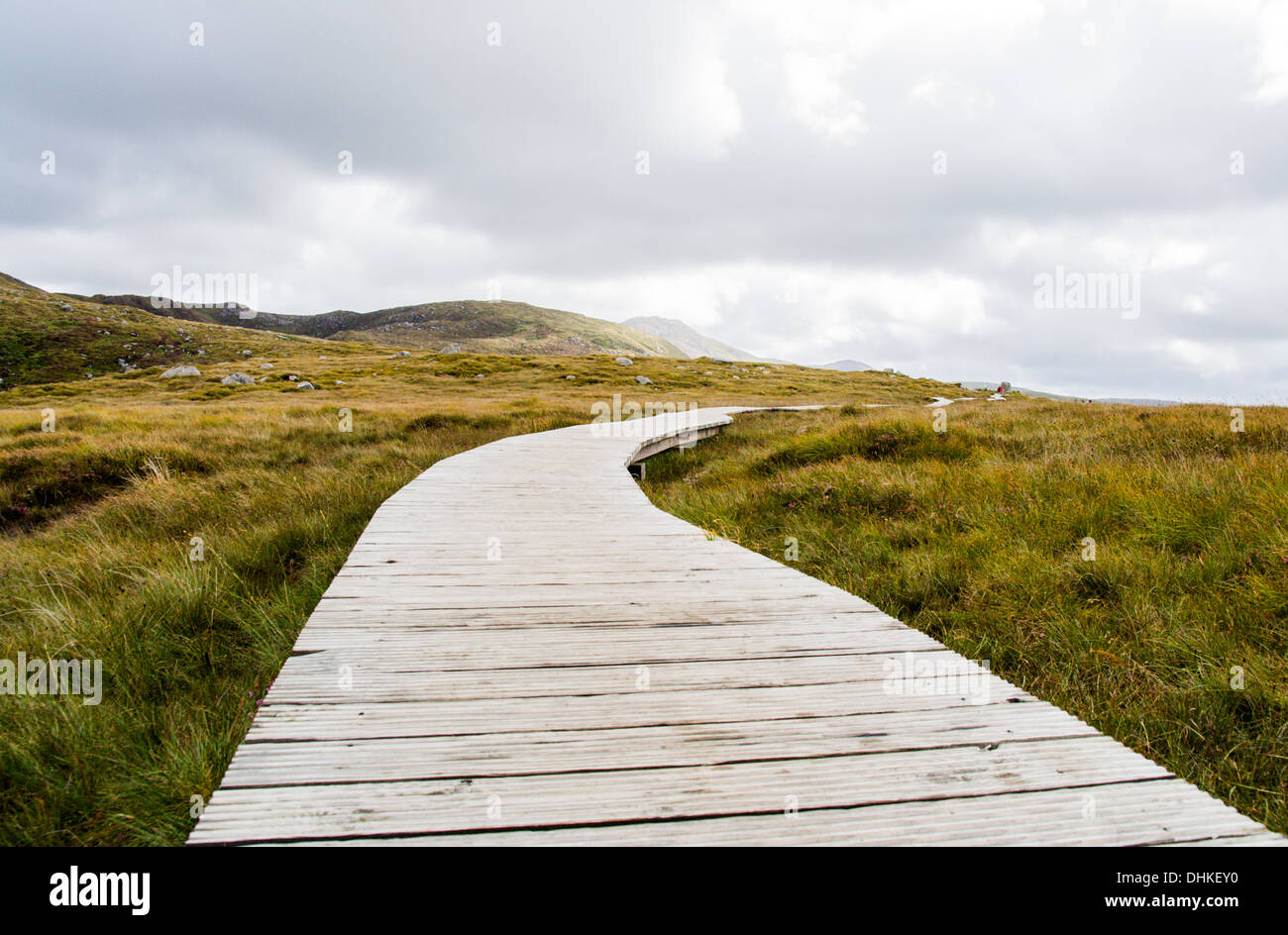 A wooden footpath across a protected landscape in Conemara National ...