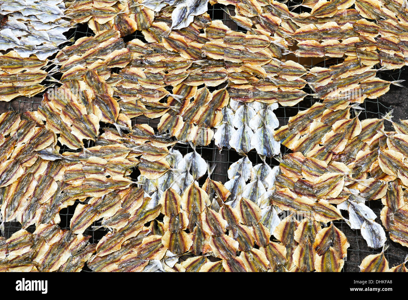 Salty fish hi-res stock photography and images - Alamy