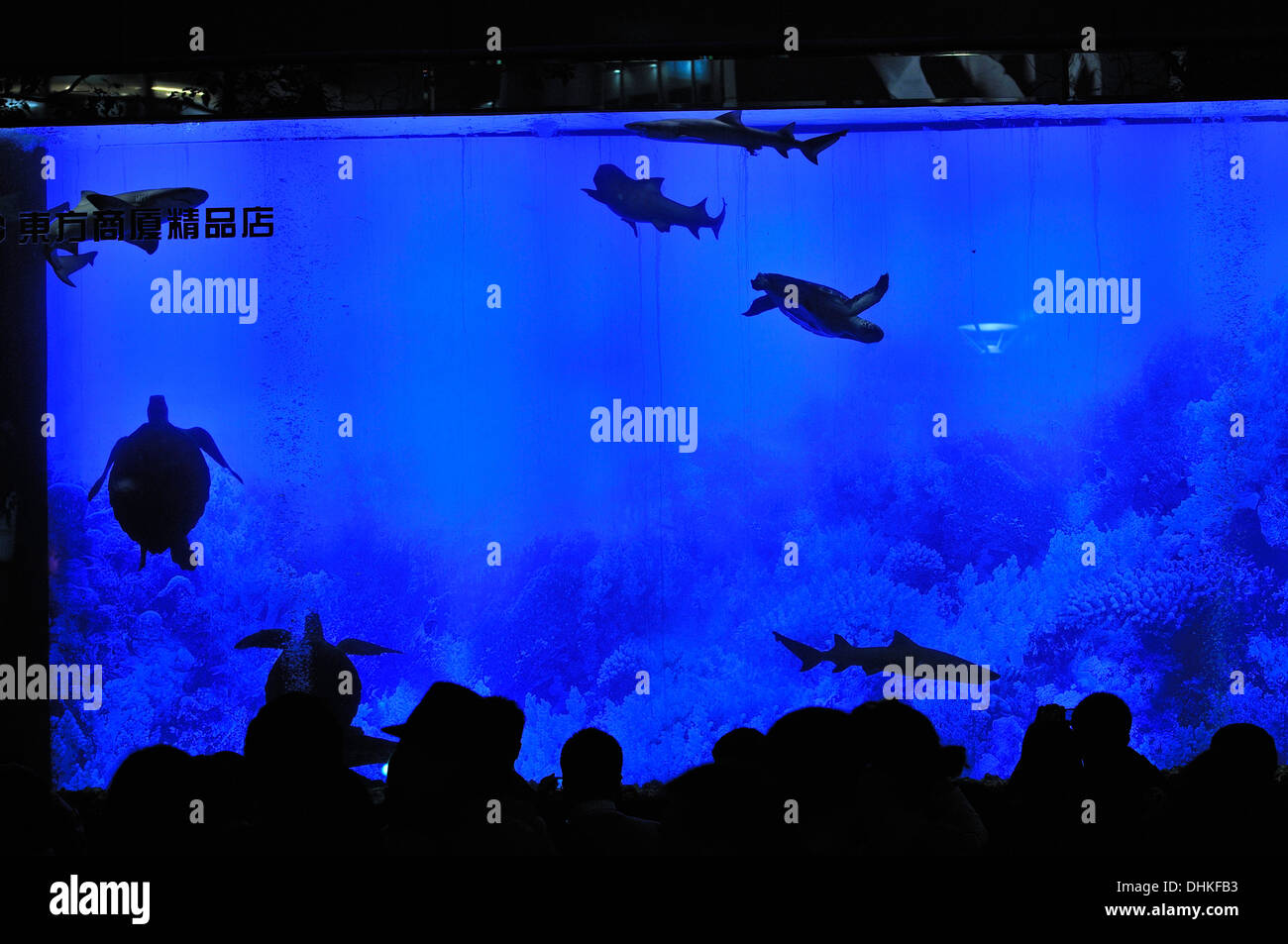 Gilbert Arenas Shark Tank
