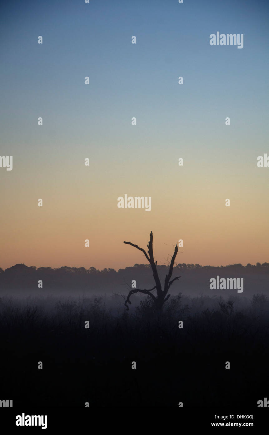 Sunrise over a meadow in Texas Stock Photo - Alamy