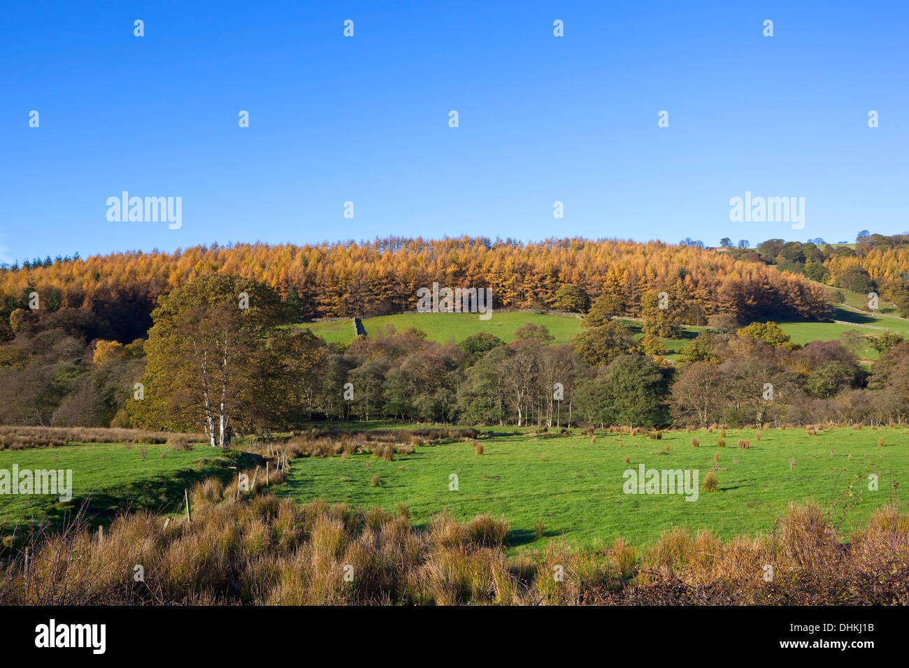 Chop gate hi-res stock photography and images - Alamy