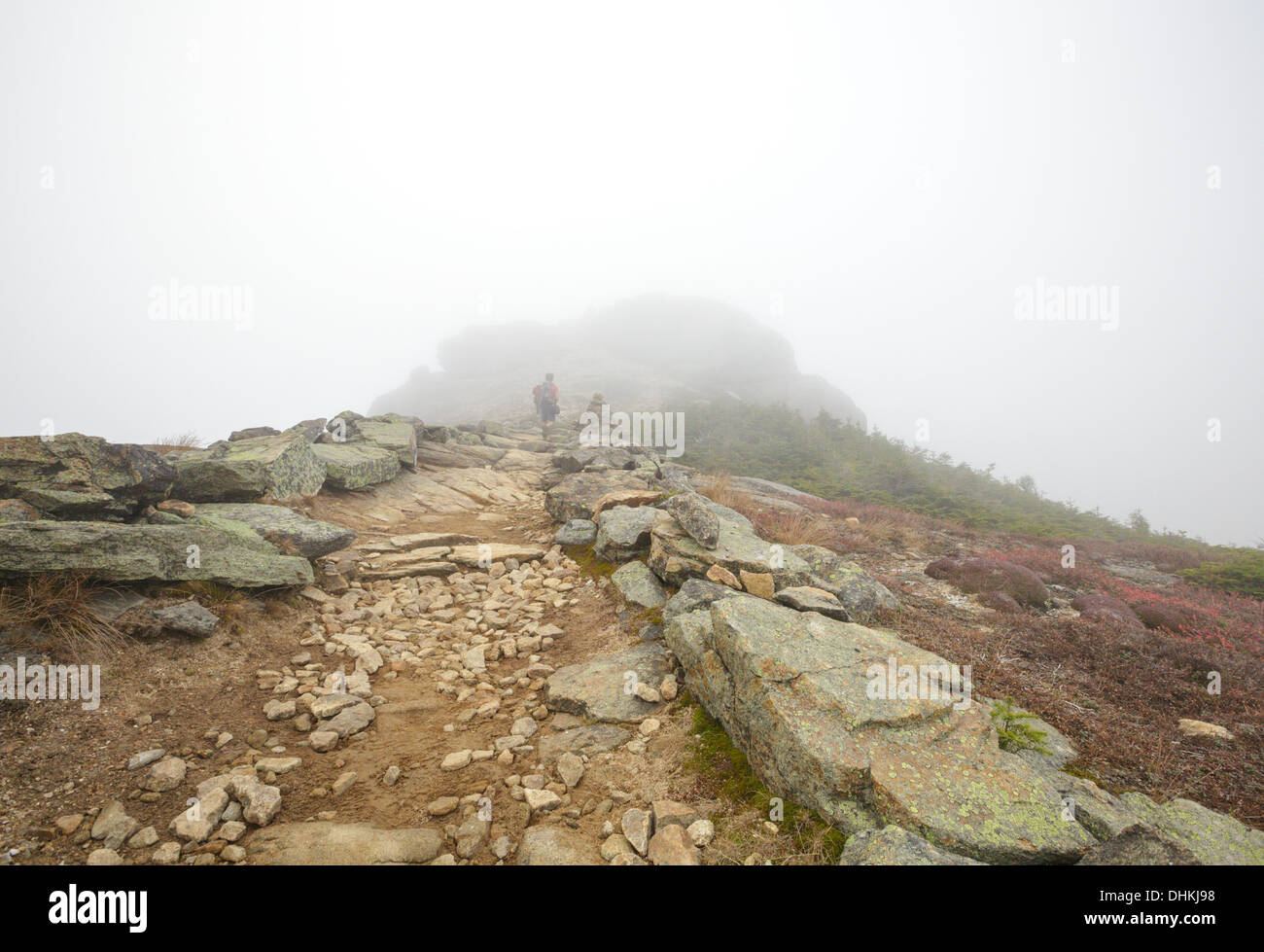 Foggy conditions along the Appalachian Trail (Franconia Ridge Trail) in ...