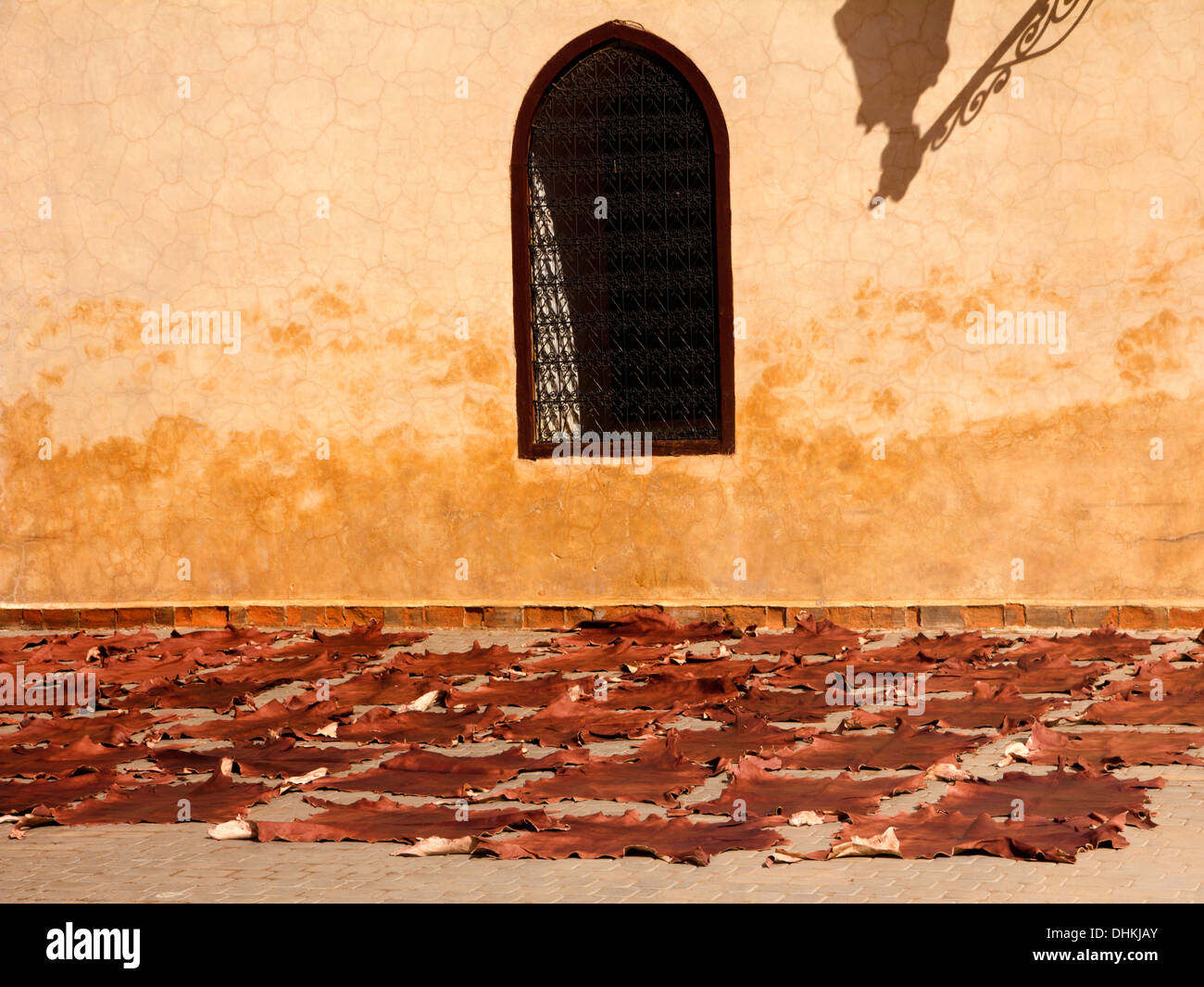 Goats skins drying in the sunshine on a pavement hi-res stock ...