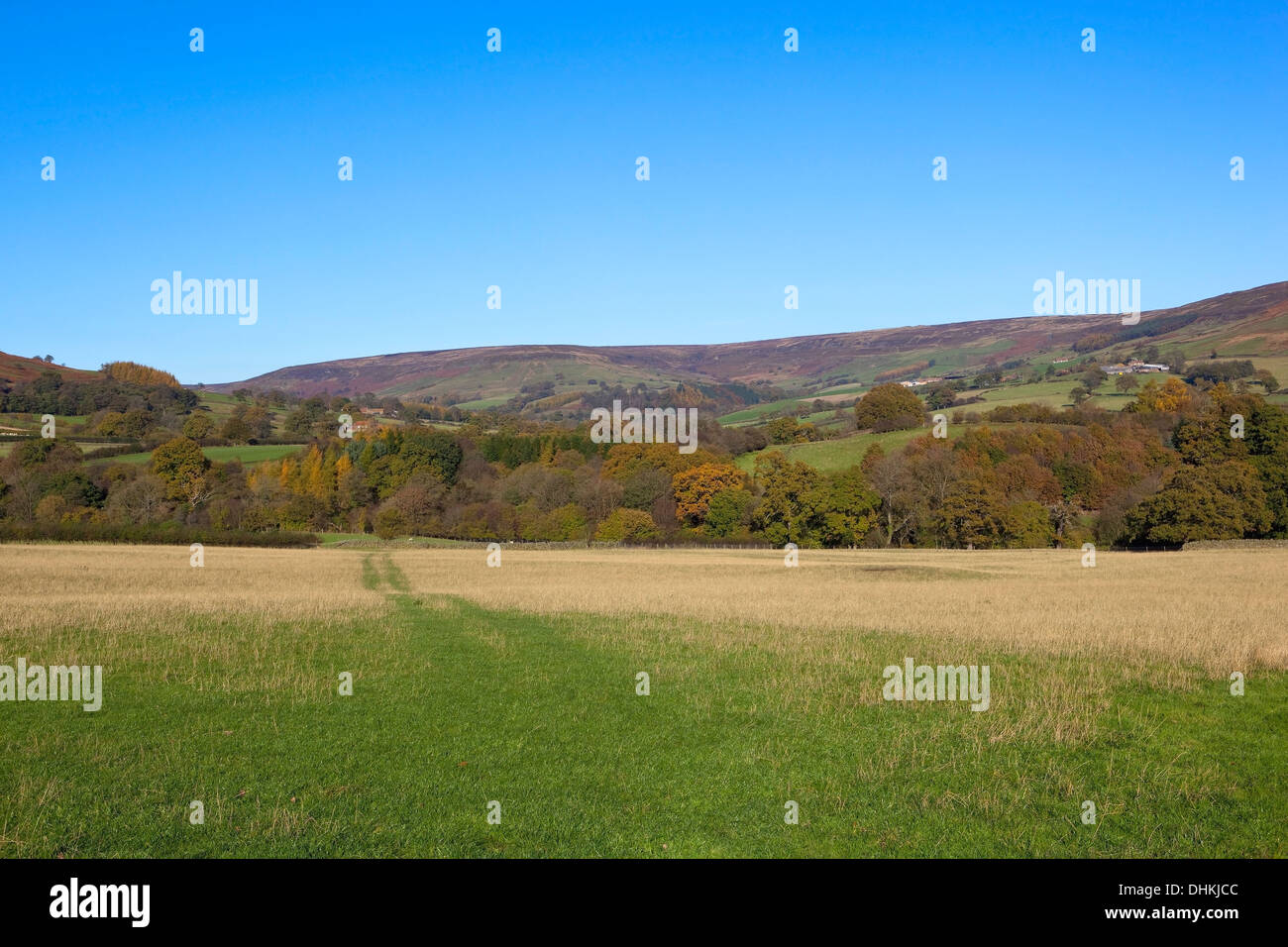 An autumn moorland scene viewed from a grassy green pasture with ...