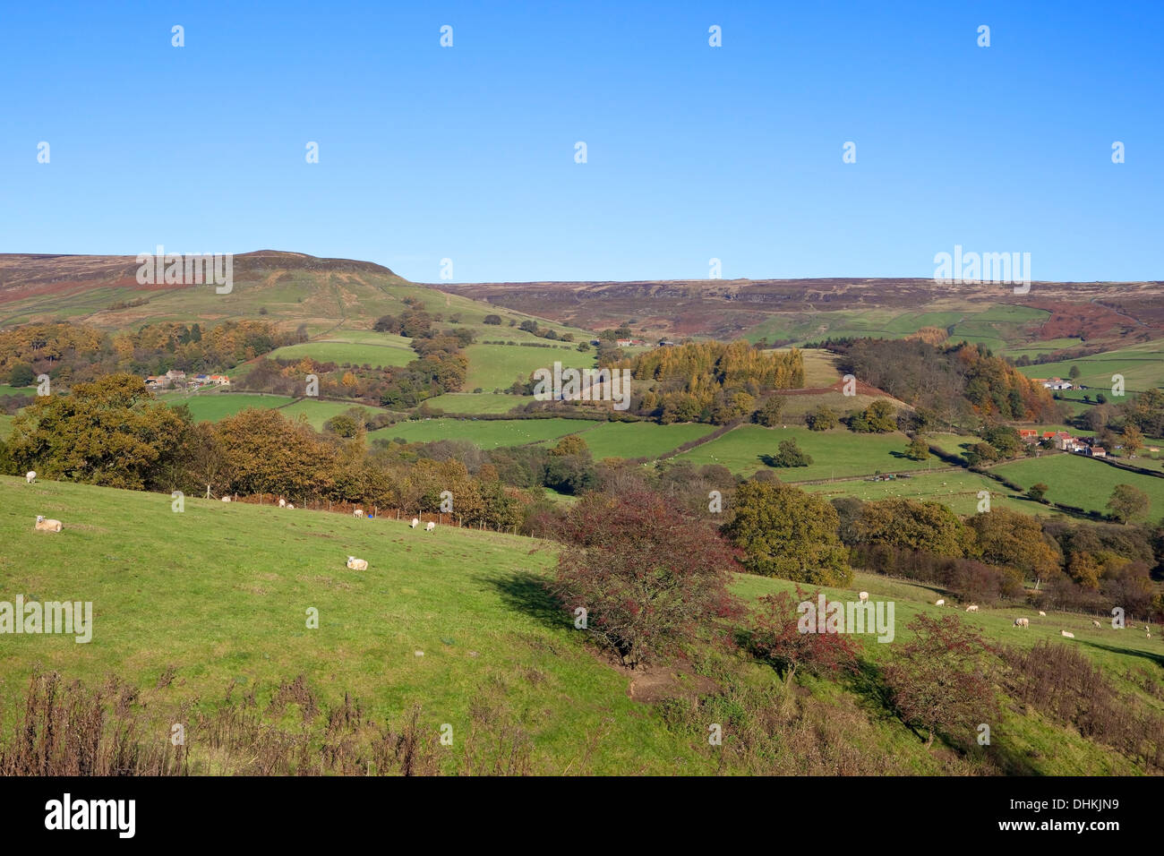 North yorkshire moorland landscape hi-res stock photography and images ...