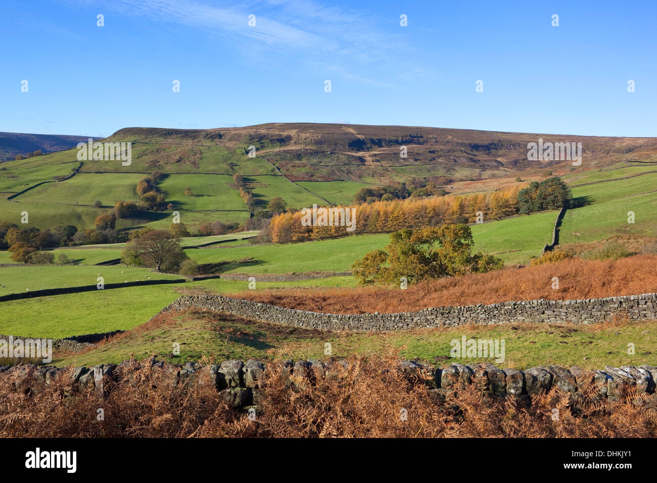 Grassy moors hi-res stock photography and images - Alamy