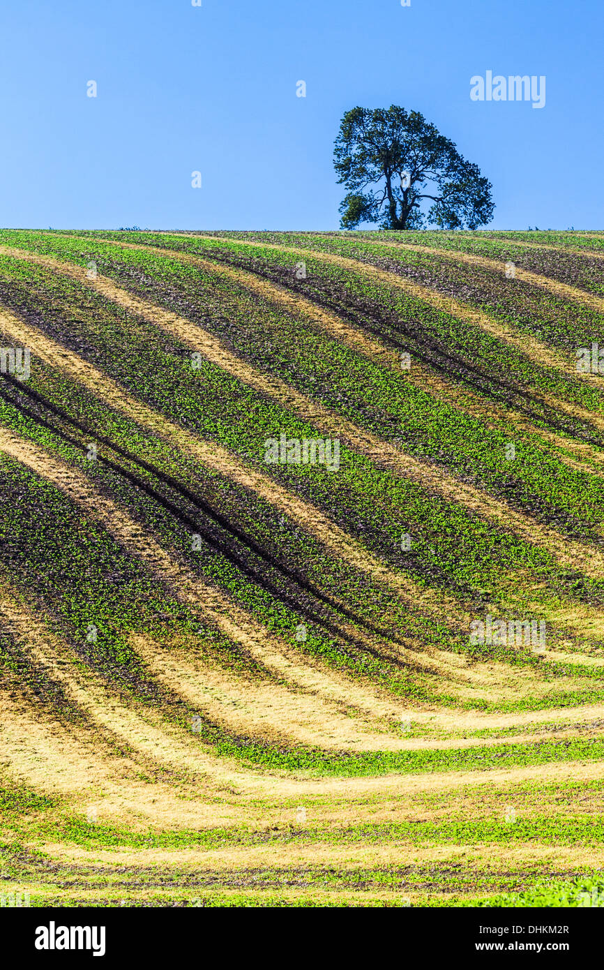 Ploughed field furrows hill hi-res stock photography and images - Alamy