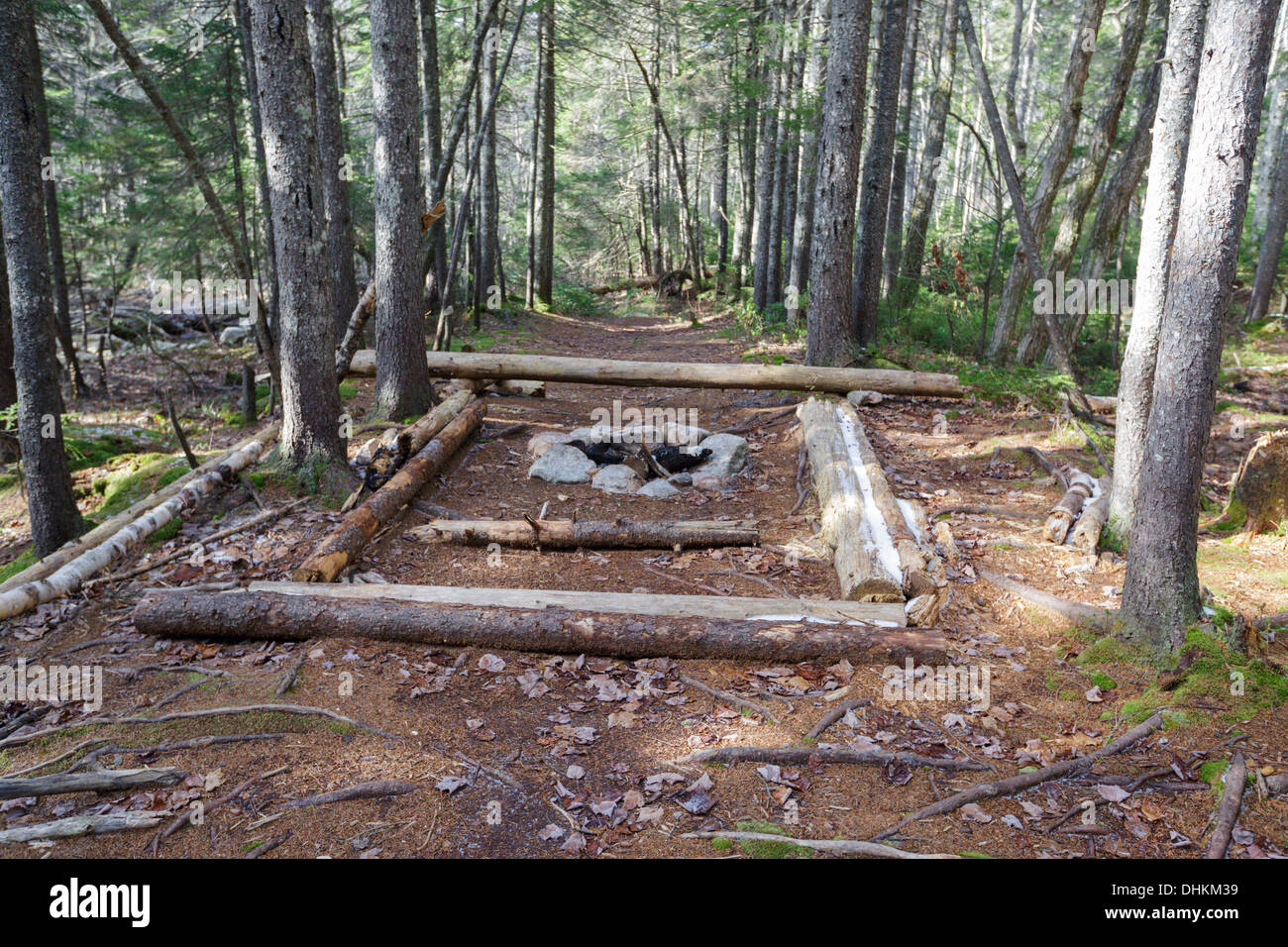 Man made campsite along Hancock Notch Trail in White Mountain National ...