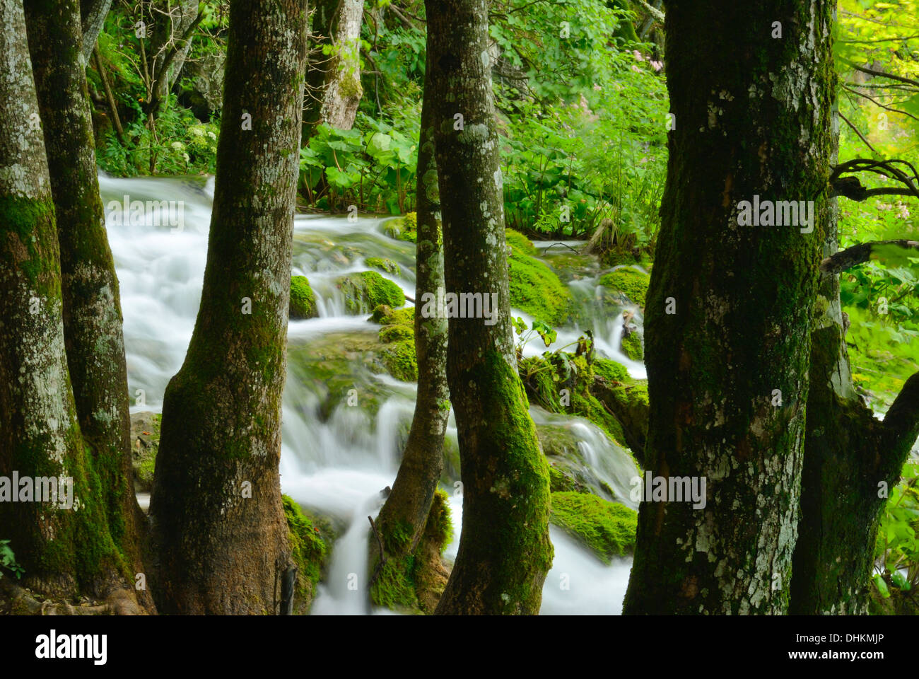 Cascades Plitvice Lakes National Park Croatia Stock Photo - Alamy