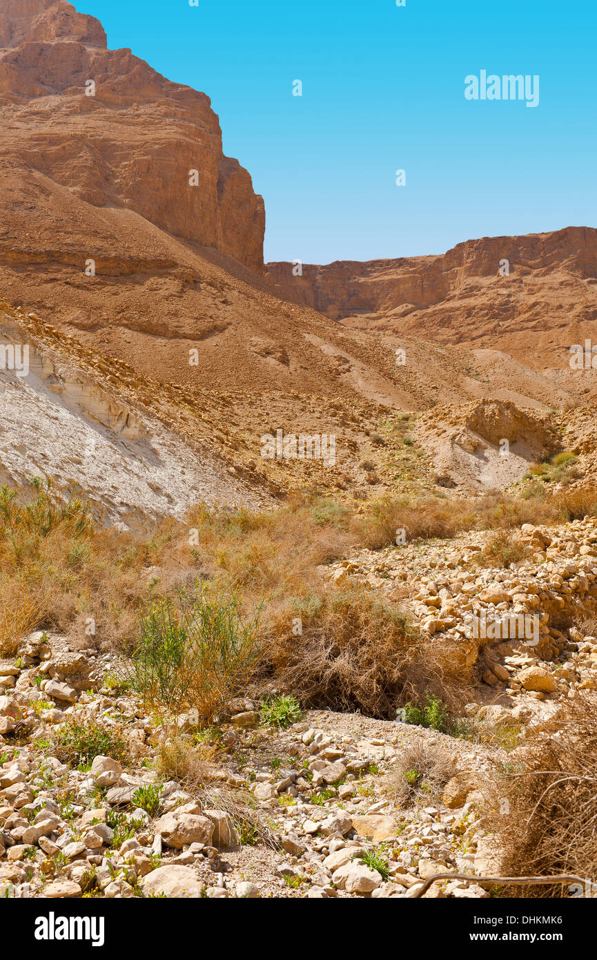 Canyon in Desert Stock Photo - Alamy