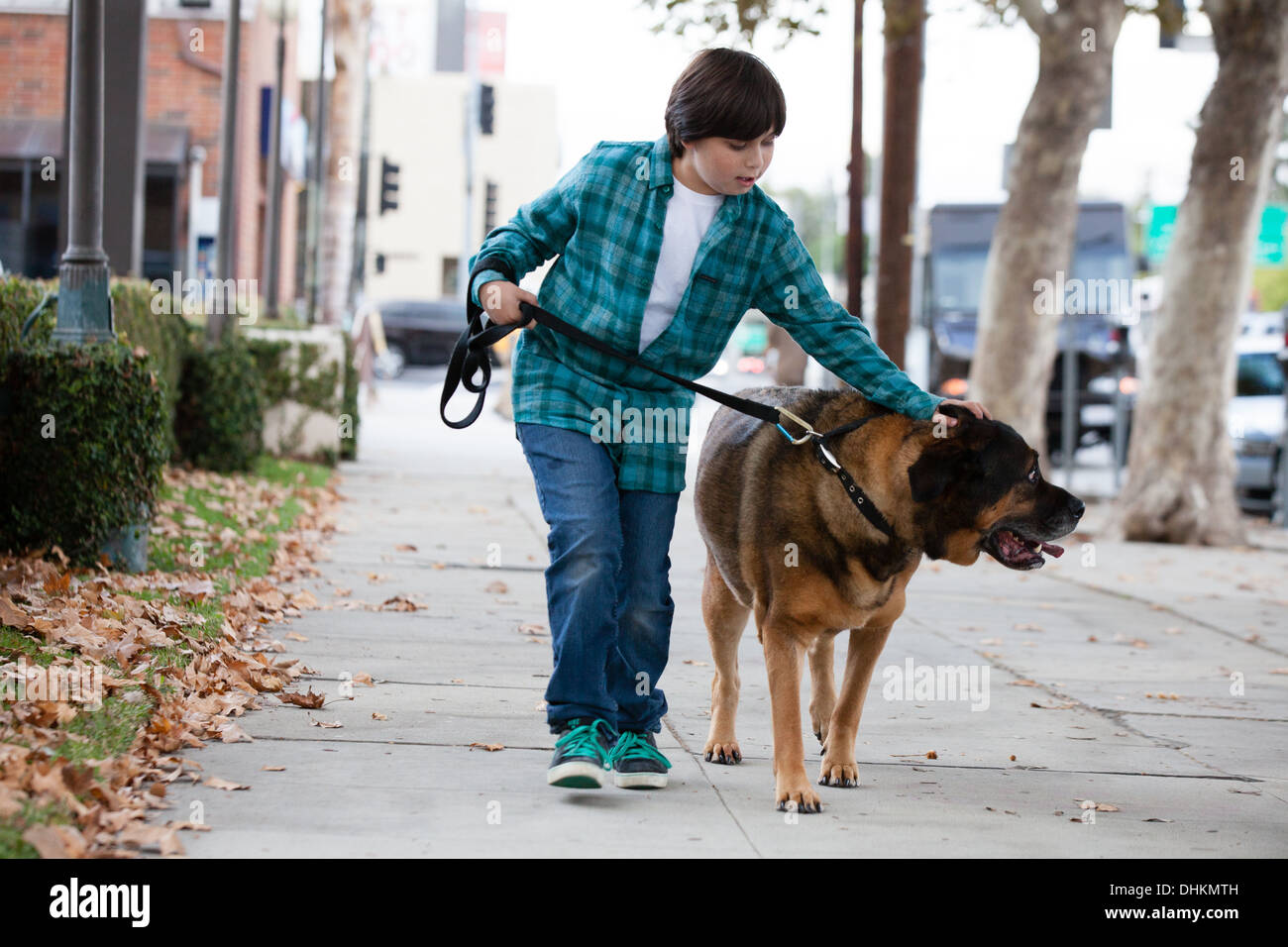 Boy walking dog hi-res stock photography and images - Alamy