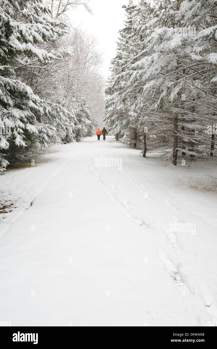 Franconia Notch State Park - Scenic view along the Franconia Notch Bike ...