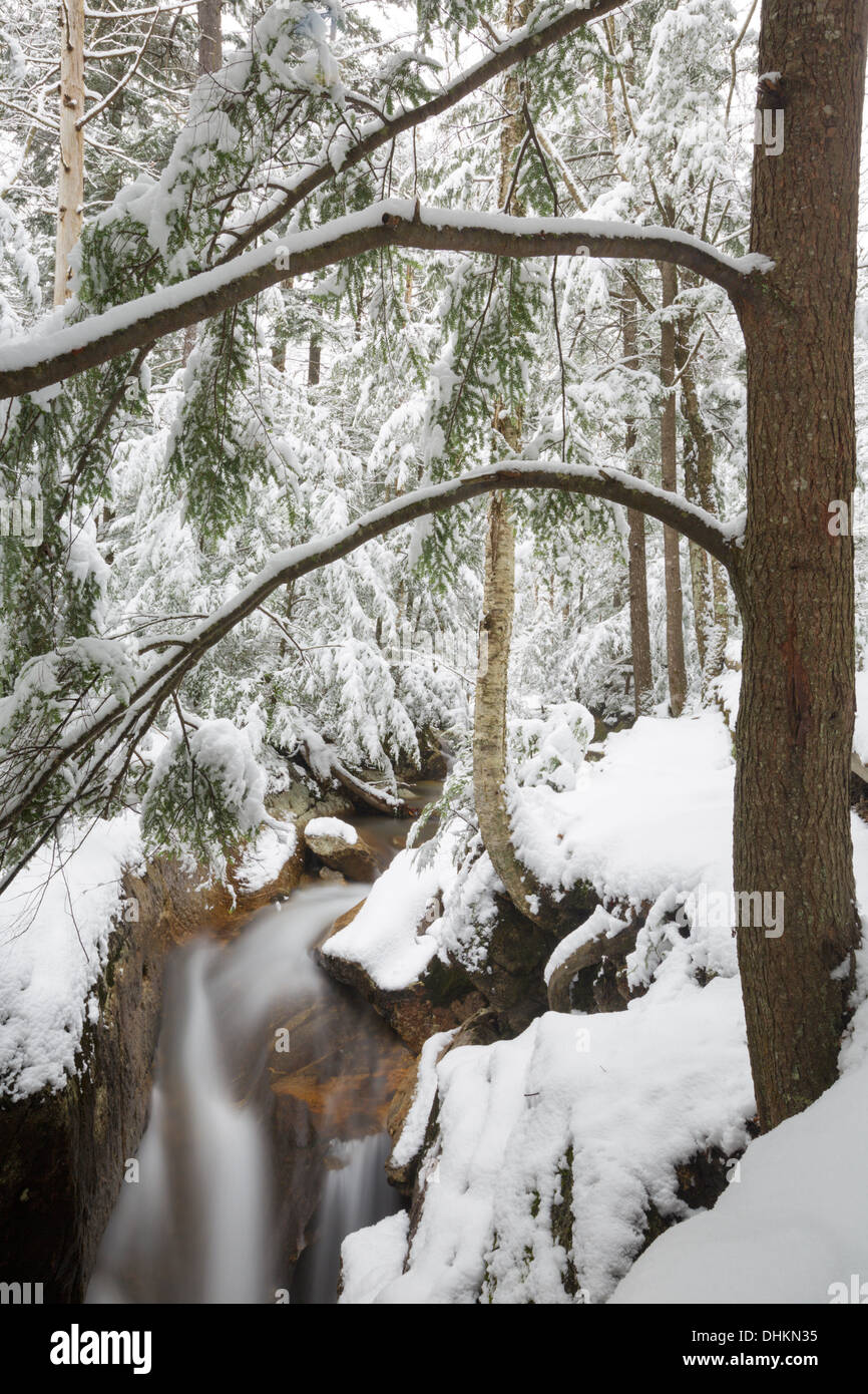 The Pemigewasset River near the "The Basin" viewing area in Lincoln ...