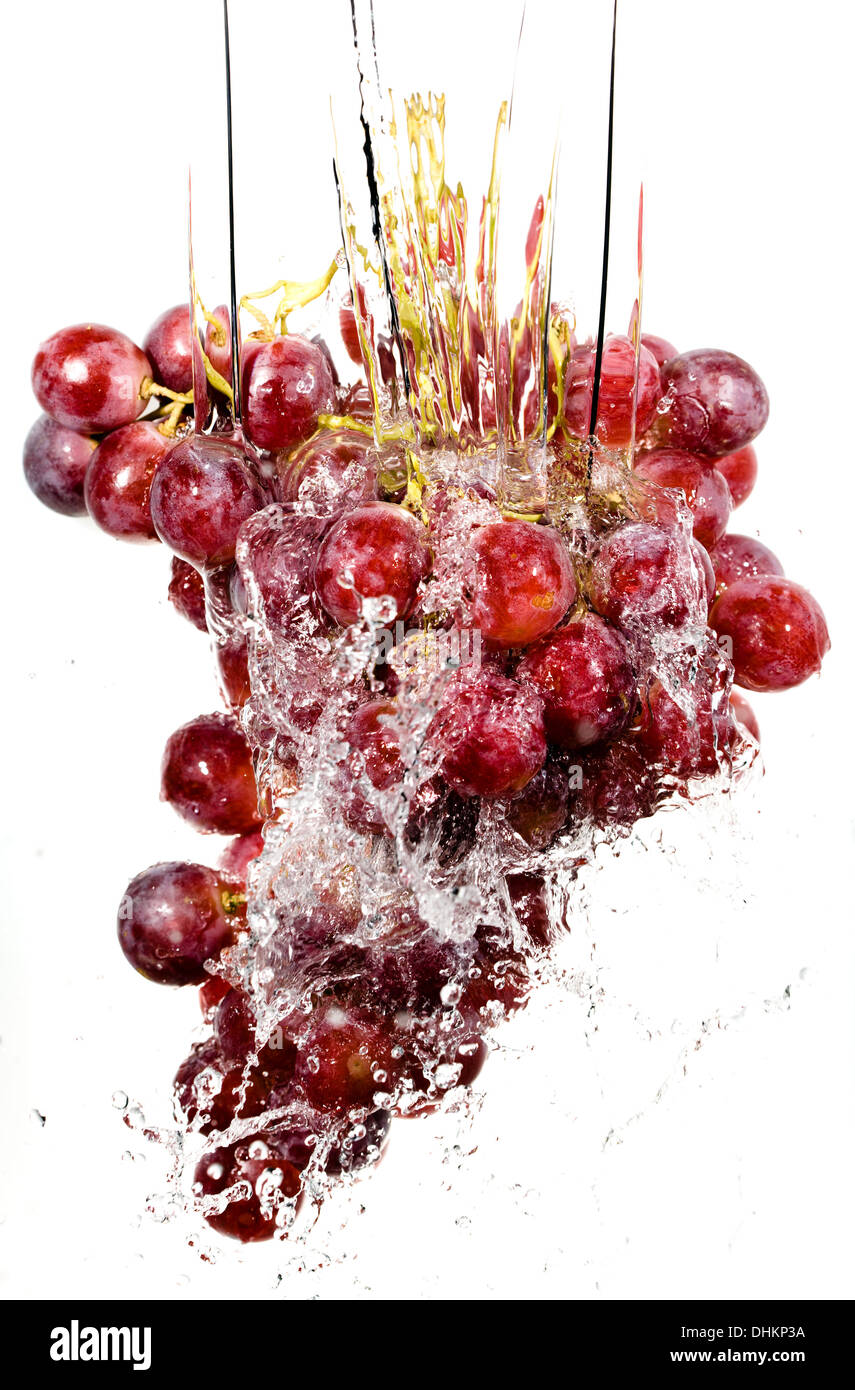 Grapes cluster in water splashes Stock Photo - Alamy