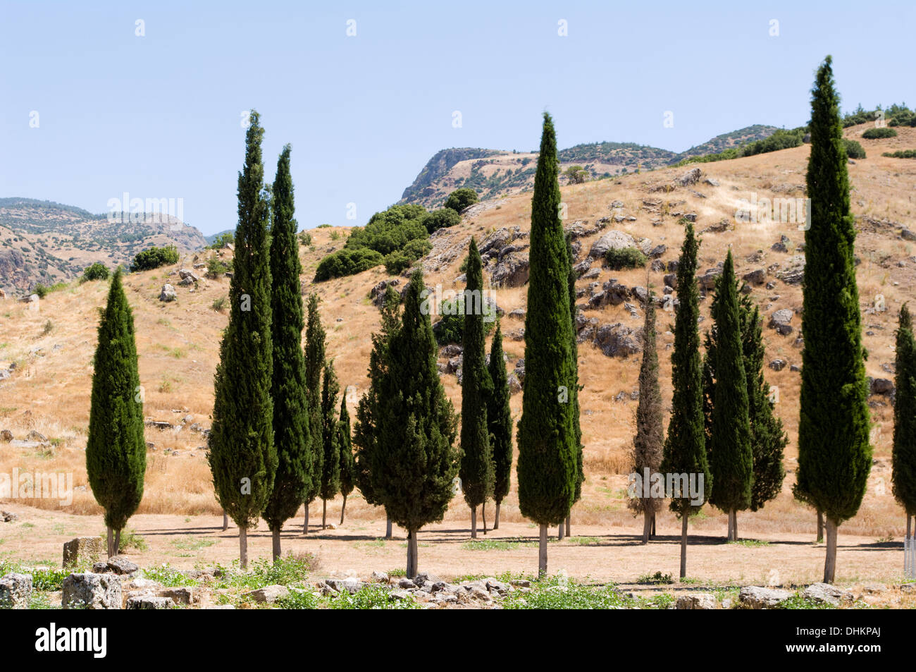Mountain landscape with evergreen Cypress trees Stock Photo - Alamy