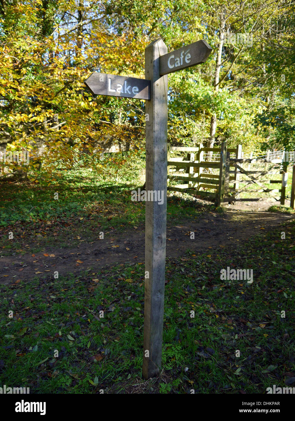 Signpost cafe hi-res stock photography and images - Alamy