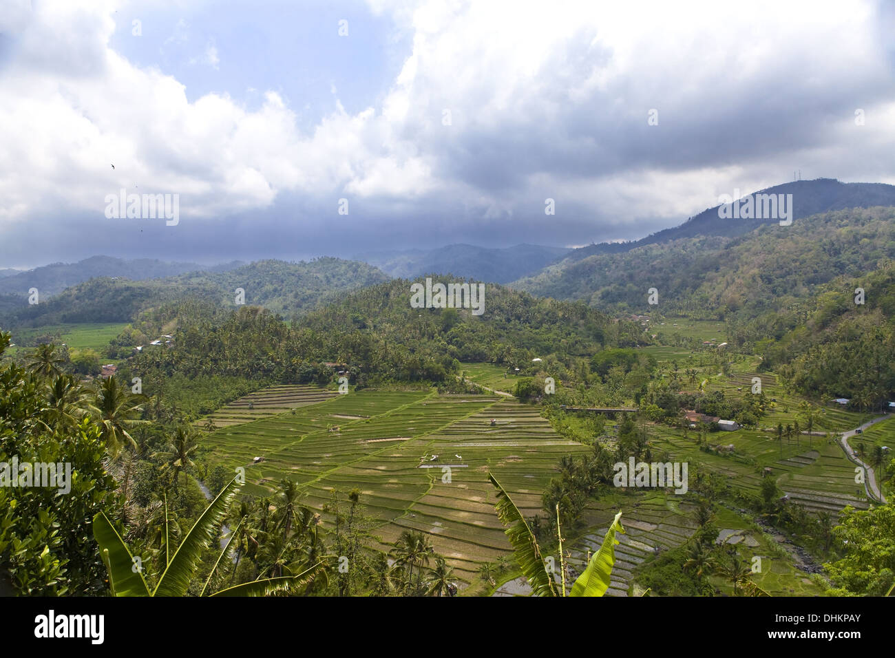 rice terraces, Bali Stock Photo - Alamy