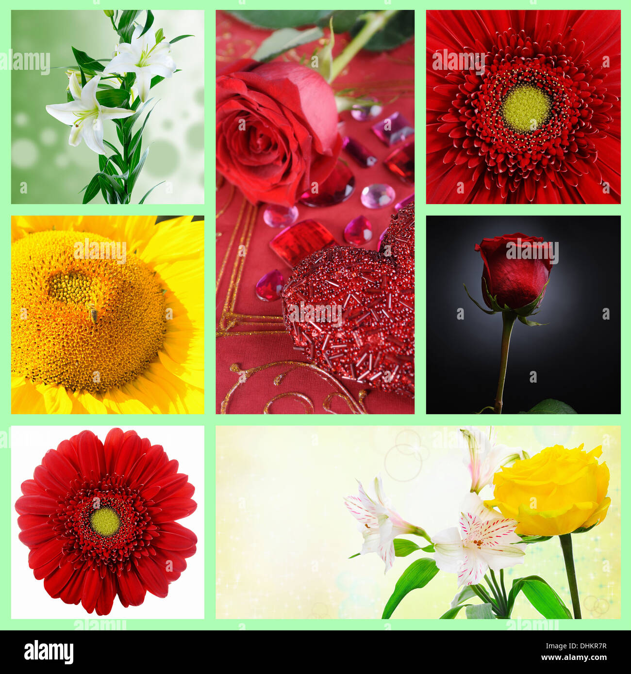 Beautiful set of flowers Stock Photo - Alamy
