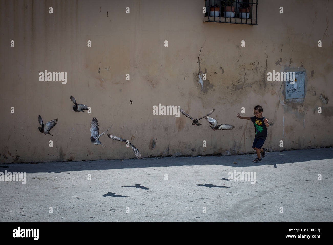 Boy Chasing Bird High Resolution Stock Photography and Images - Alamy