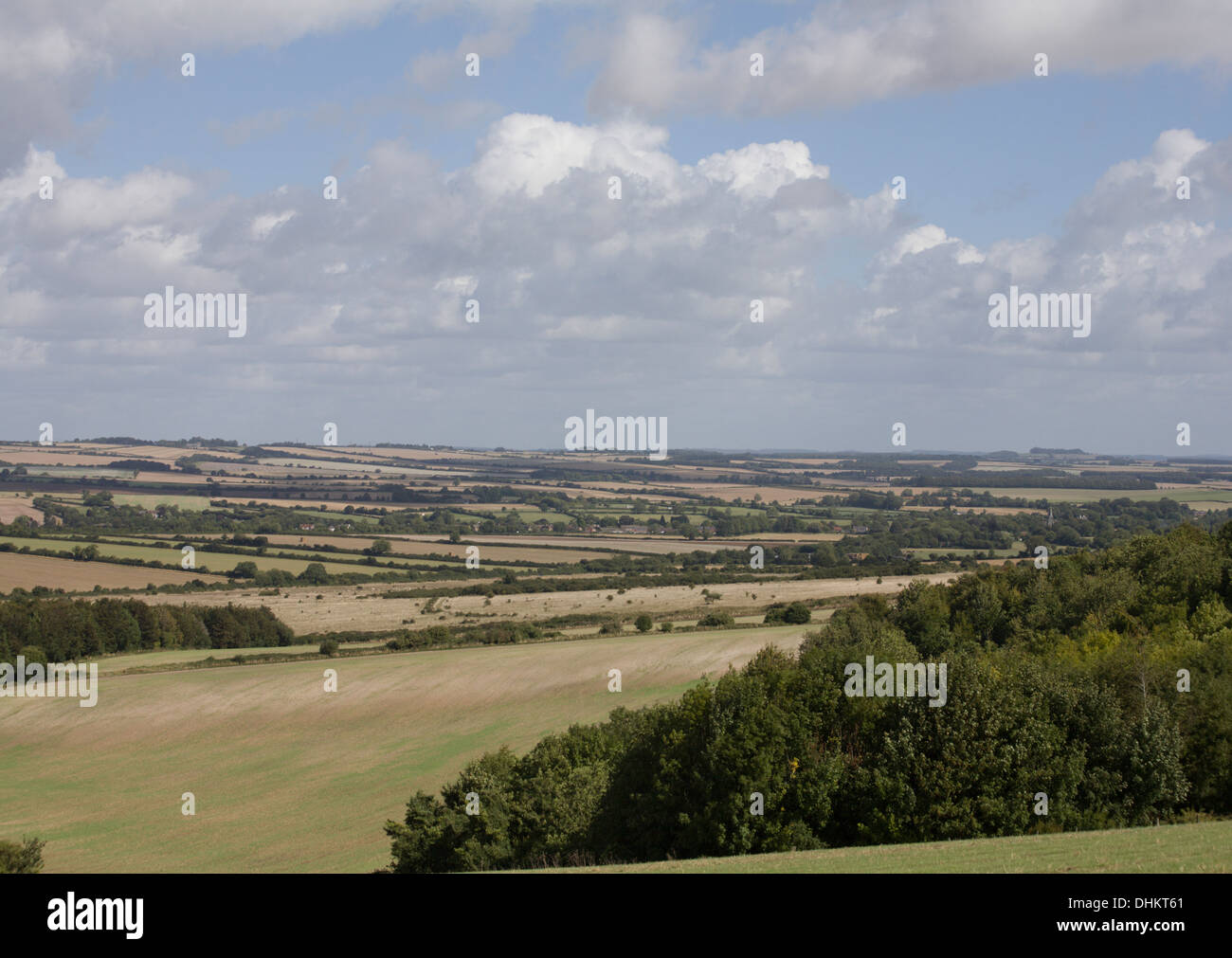A view across The Dorset Downs from near Pentridge Hill The Dorset ...