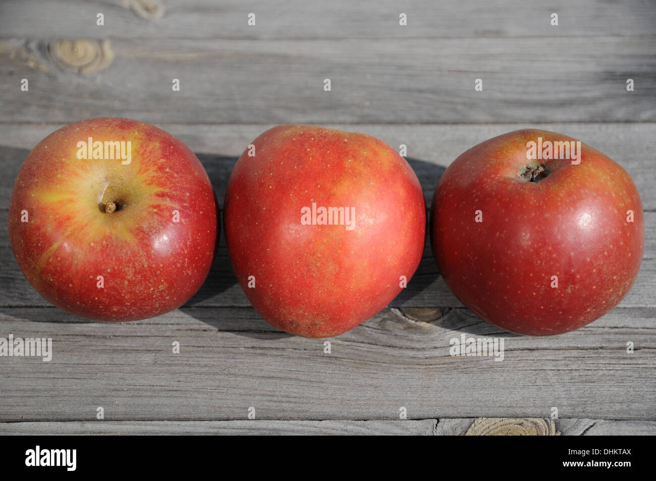 Boskoop Apples High Resolution Stock Photography and Images - Alamy