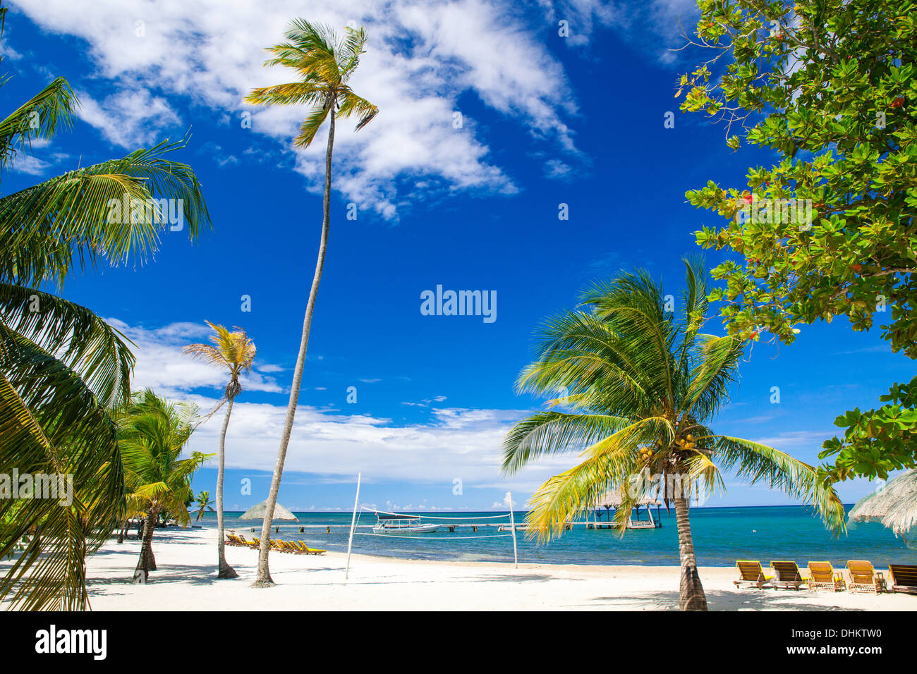 Tropical palm trees on white sand beach. Roatan Island Stock Photo - Alamy