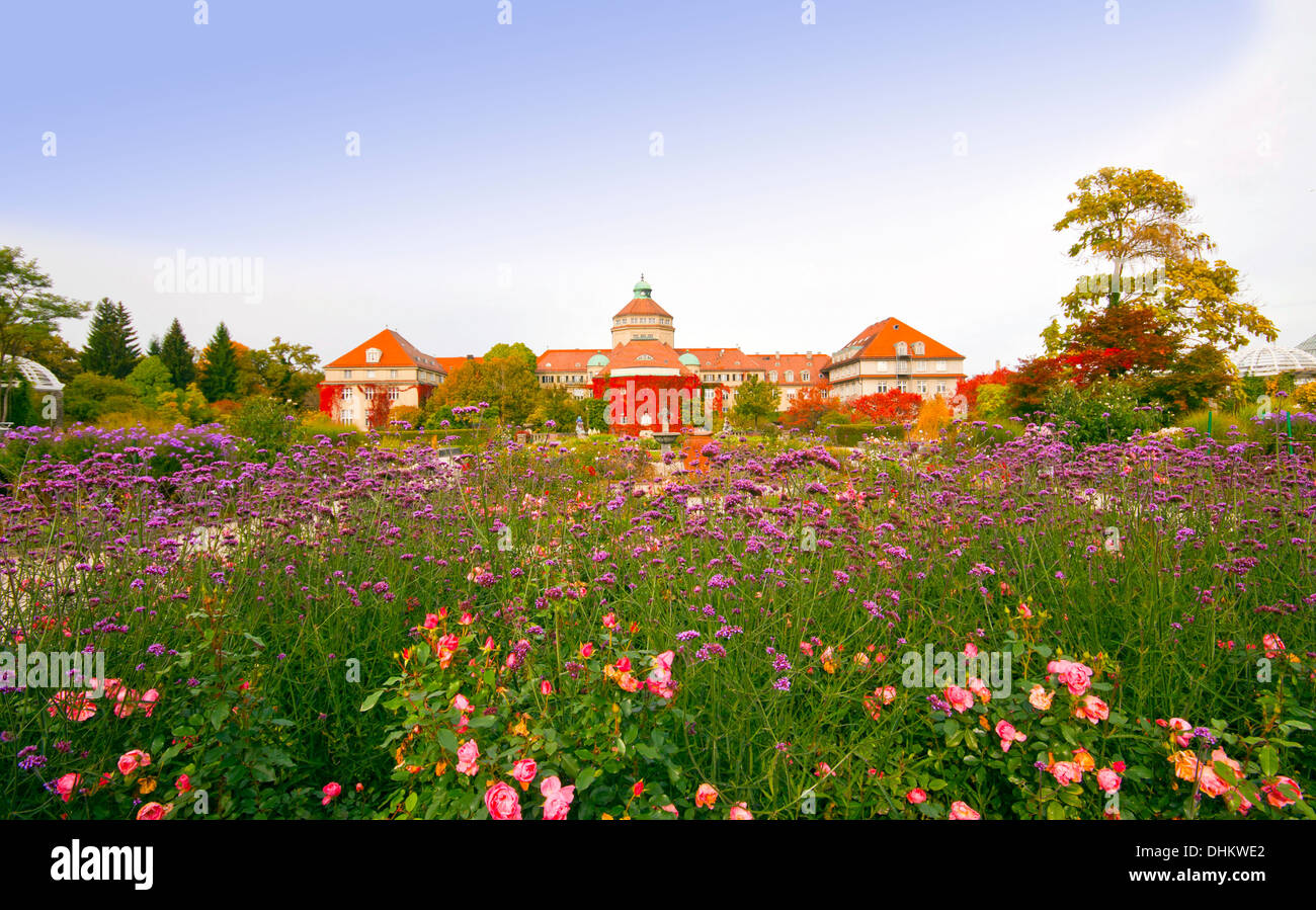 Wildflowers wide angle view landscape hi-res stock photography and ...