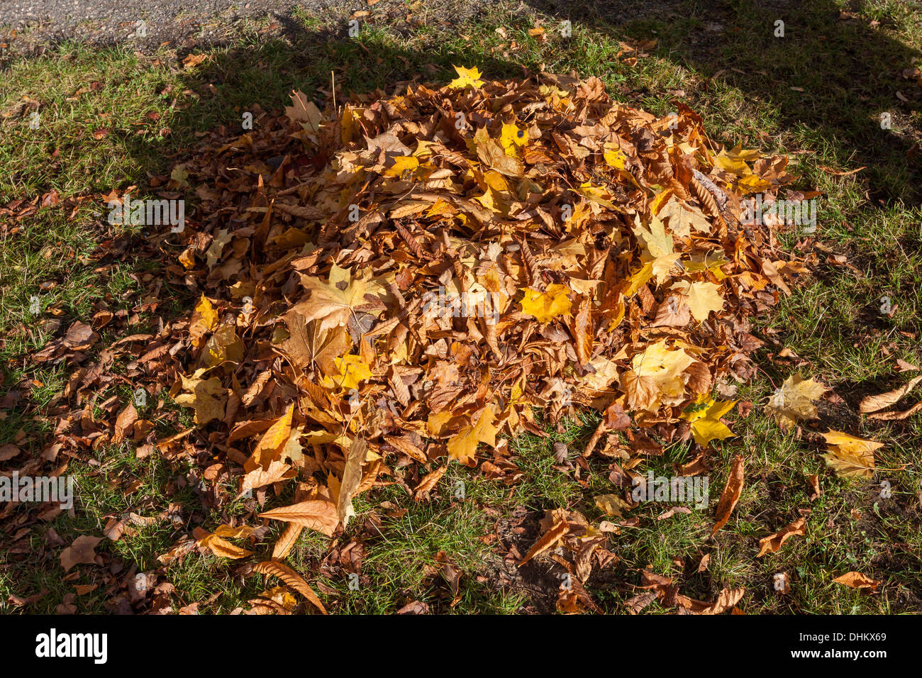 Leave pile hi-res stock photography and images - Alamy