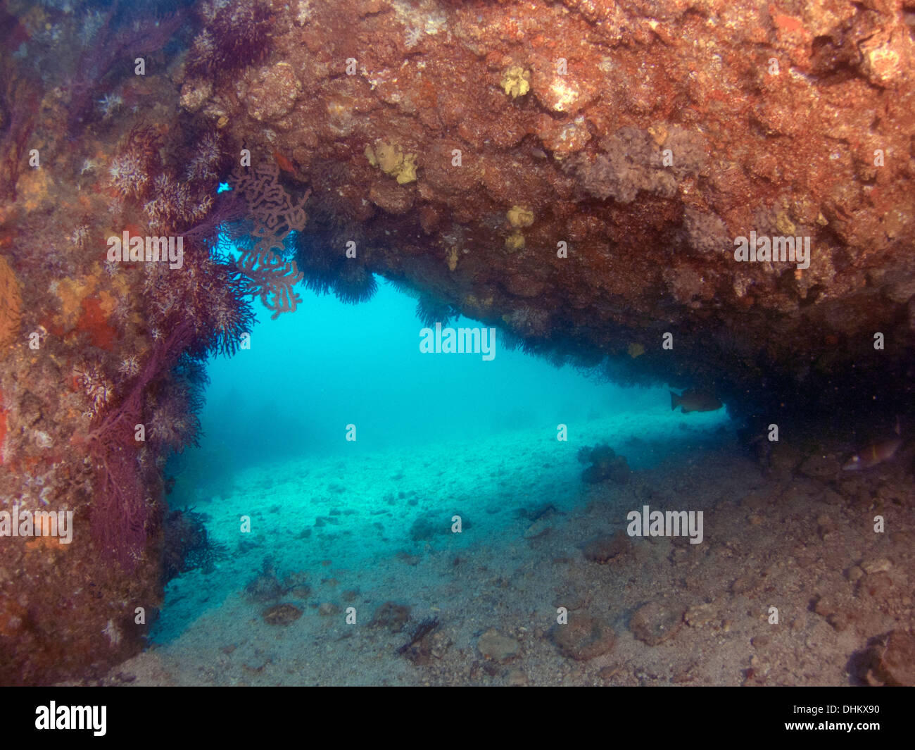 underwater, mexico, la paz, sea, ocean, scuba, diving, cave, cavern ...