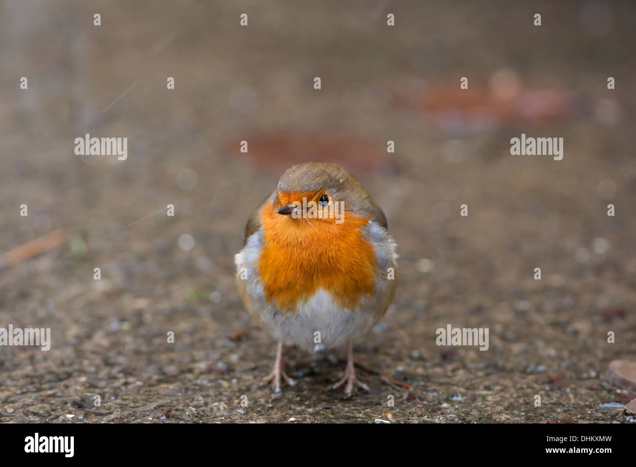 Ground concrete hi-res stock photography and images - Alamy