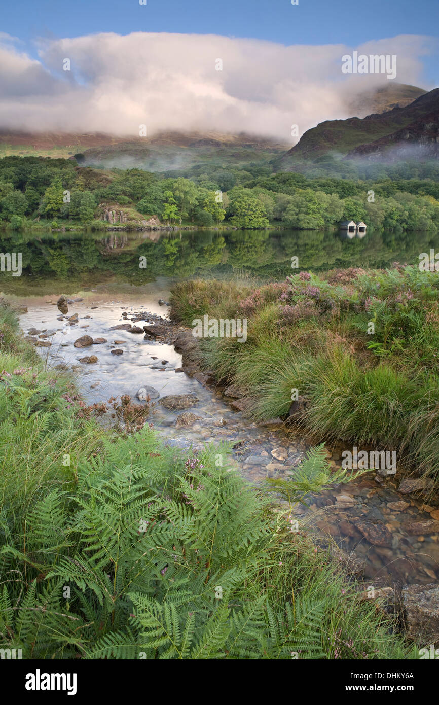 Dinas Mountain Stock Photos & Dinas Mountain Stock Images - Alamy