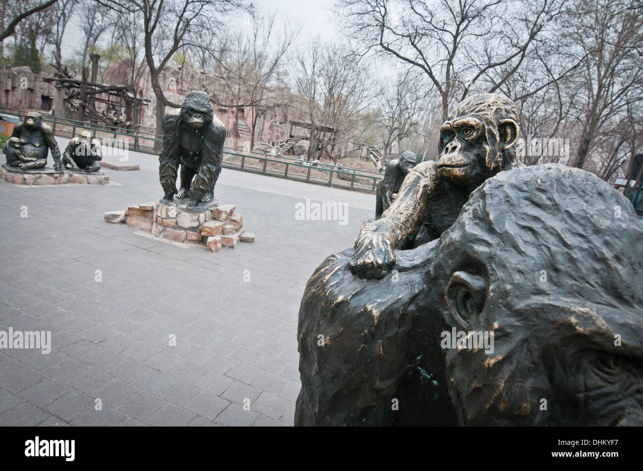 gorilla statues in Beijing Zoo, Xicheng District, Beijing, China Stock ...