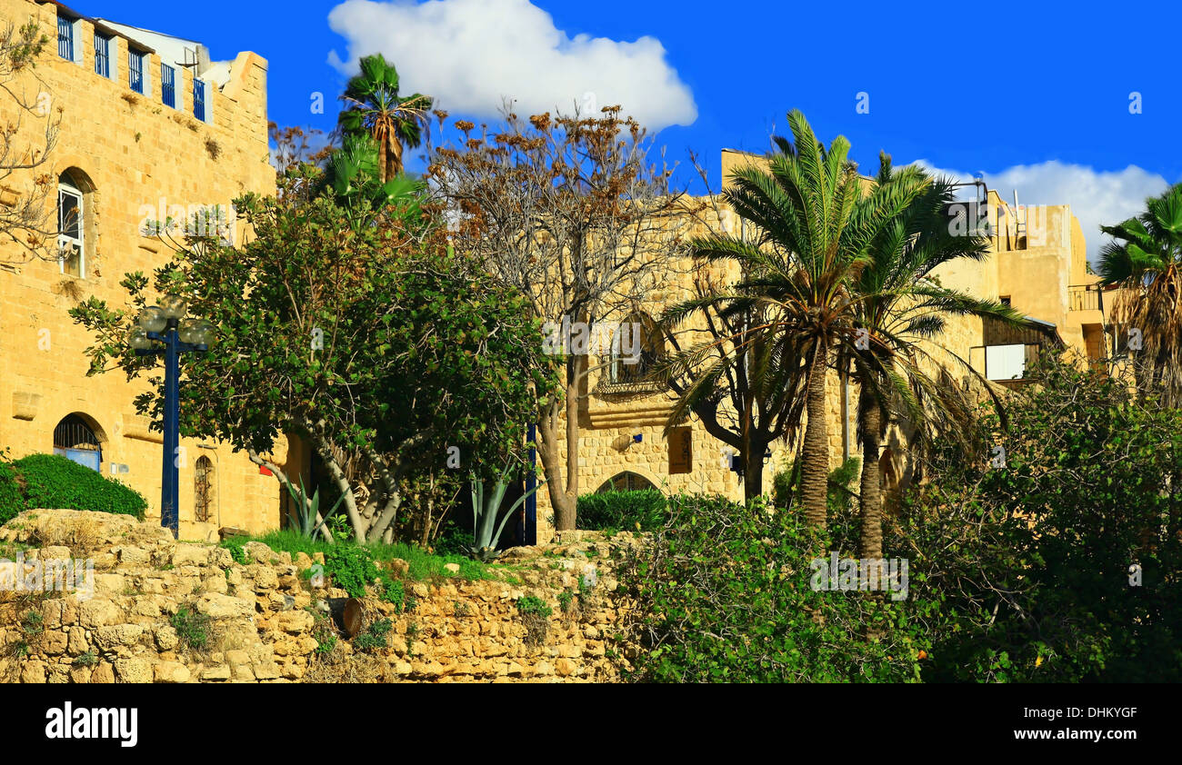 Jaffa area hi-res stock photography and images - Alamy