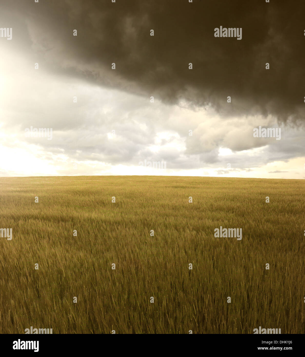 Neutral backgrounds hi-res stock photography and images - Alamy