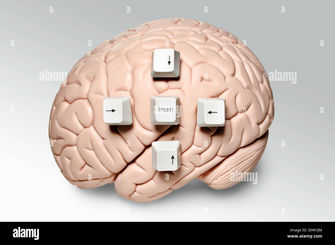 Brain with computer keys Stock Photo - Alamy