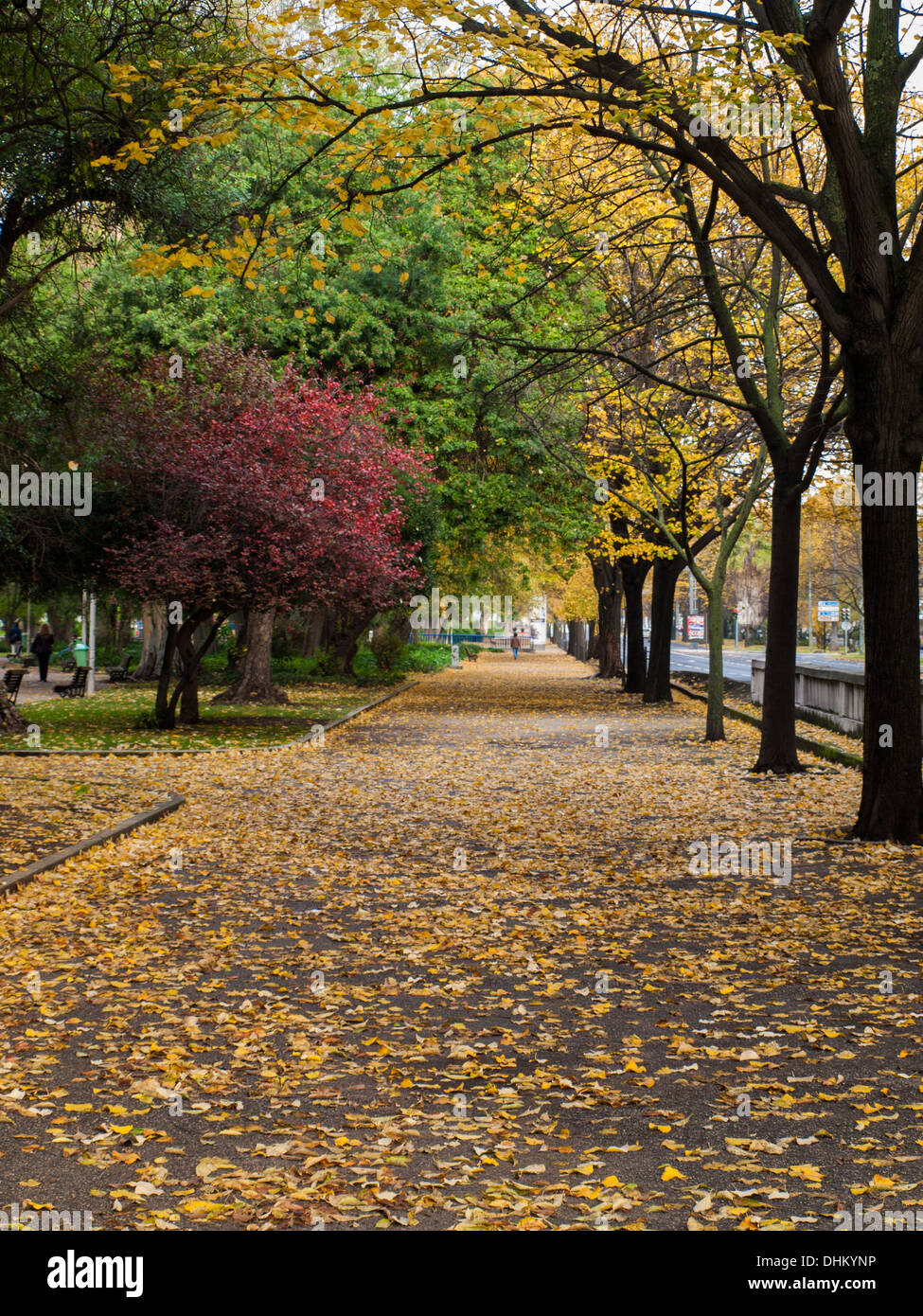 Autumn in Lisbon Stock Photo - Alamy