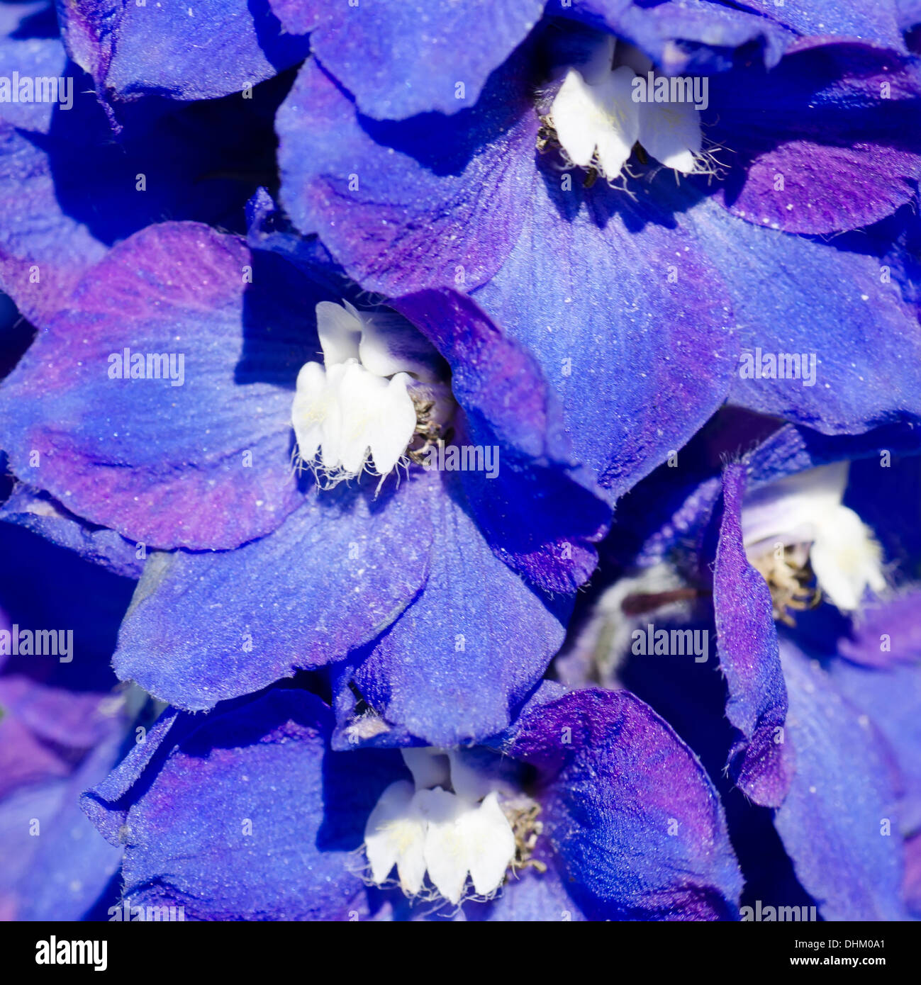Abstract field hi-res stock photography and images - Alamy