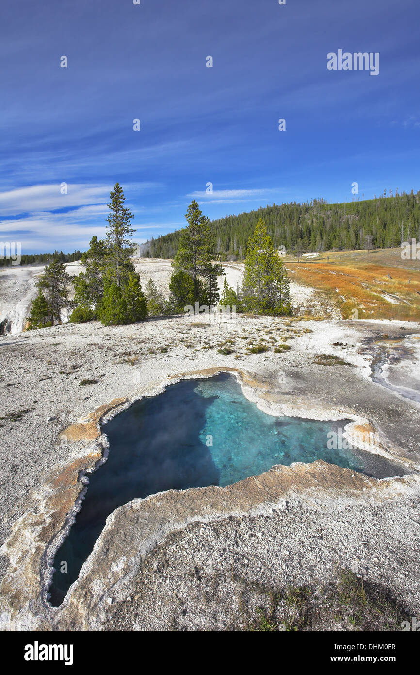 The Blue star spring Stock Photo - Alamy