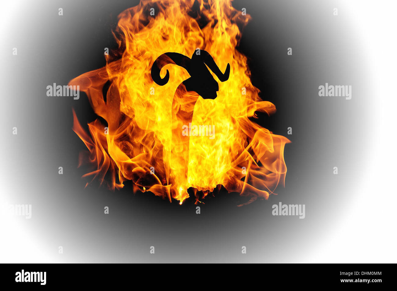the horned out of the fire Stock Photo - Alamy