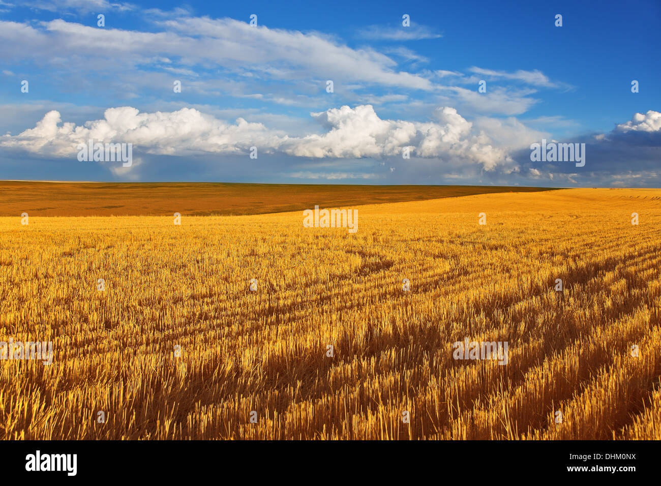 Solar fields hi-res stock photography and images - Alamy