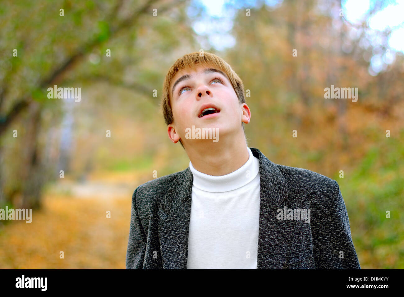 Boy look up at tree hi-res stock photography and images - Alamy