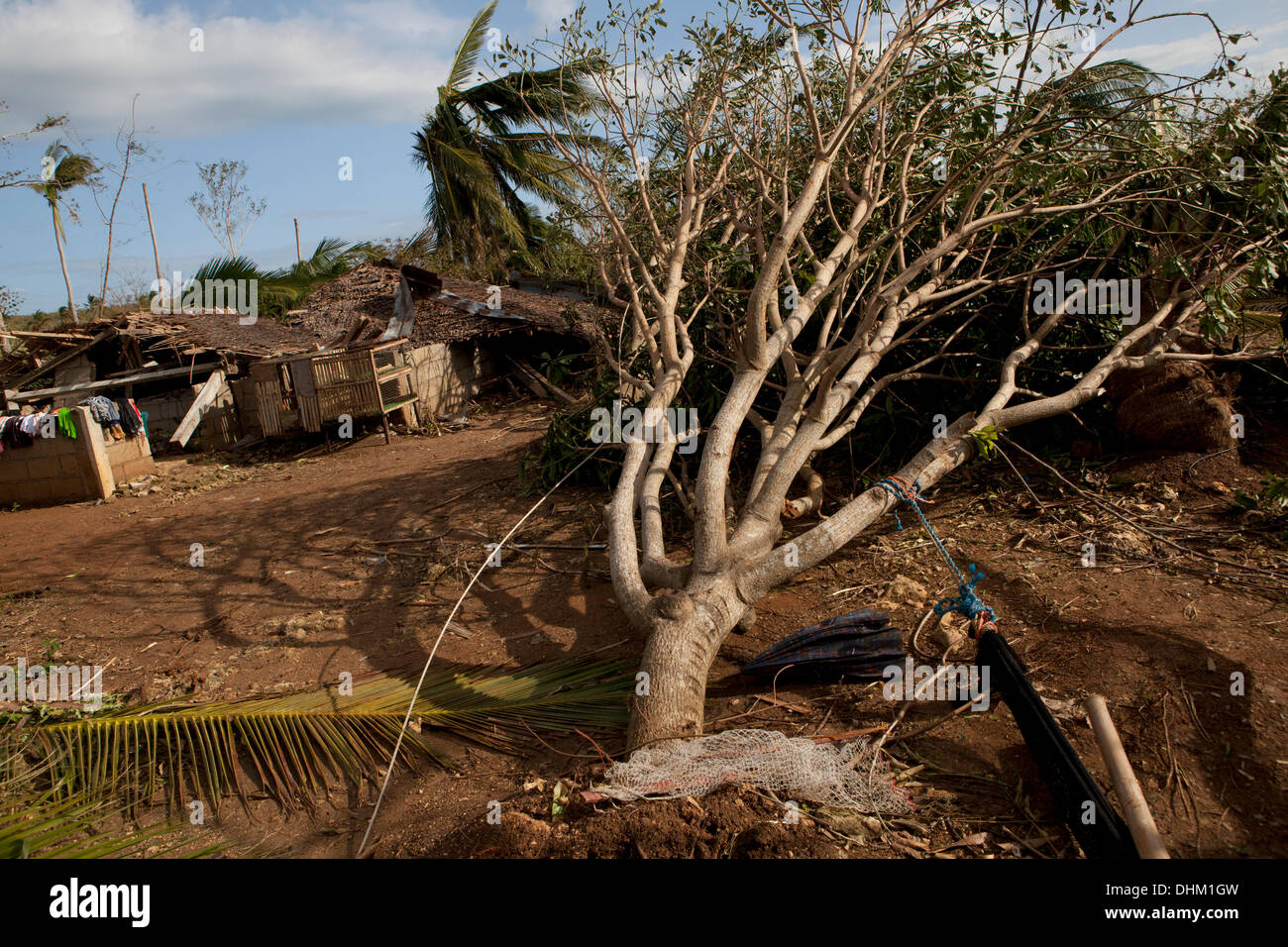 Typhoon haiyan typhoon yolanda daanbantayan cebu philippines hi-res ...